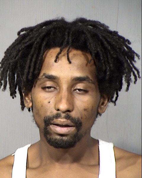 Kenneth Ray Lowery Mugshot / Maricopa County Arrests / Maricopa County ...