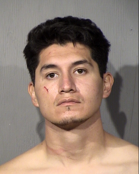 Jesse George Newell Mugshot / Maricopa County Arrests / Maricopa County ...