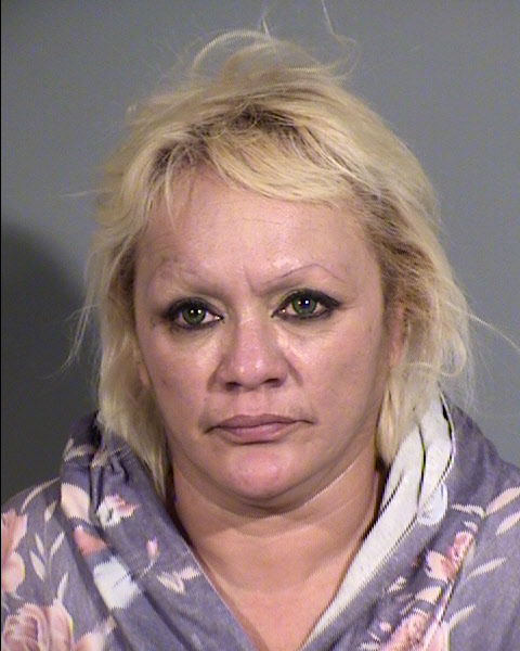 Sandra Salinas Mugshot / Maricopa County Arrests / Maricopa County ...